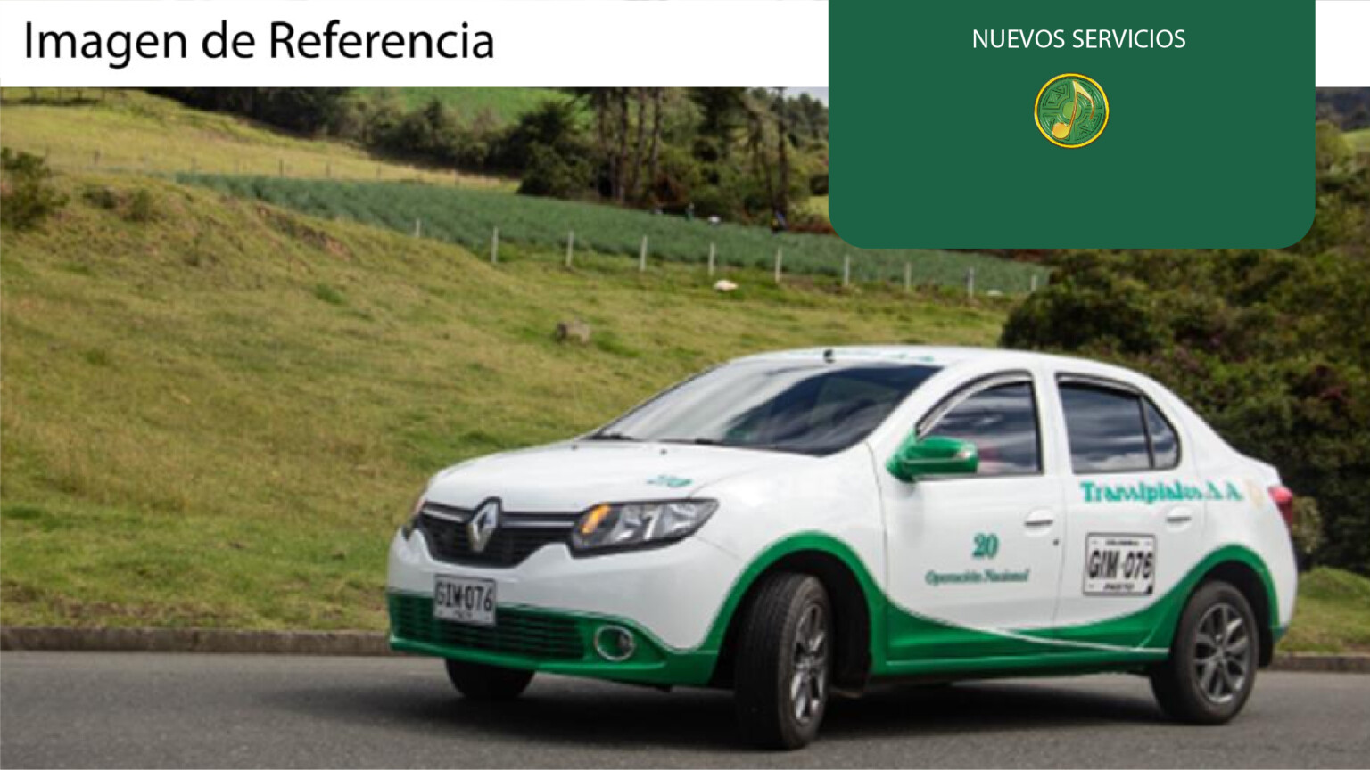 Servicios – Transipiales